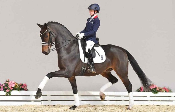 English Horse Riding: 5 Most Common Types and Techniques