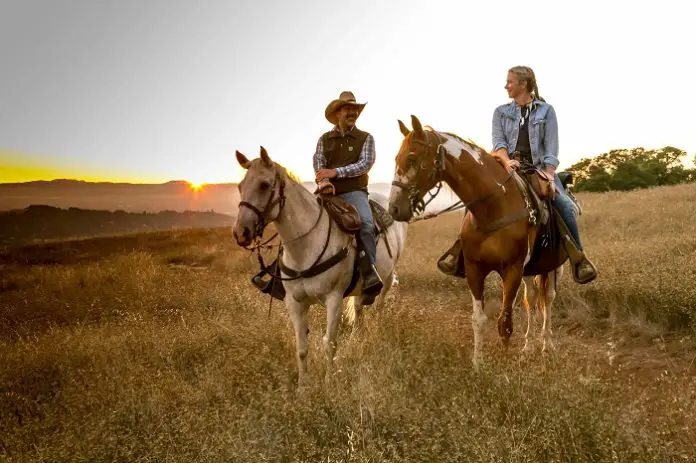 Western Riding : Key Features, Basics, Gaits, and Rules