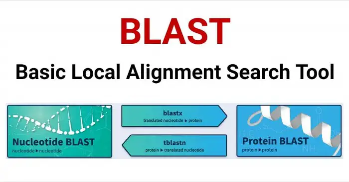 Basic Local Alignment Search Tool (BLAST): Types and Features Basic Local Alignment Search Tool (BLAST): Types and Features