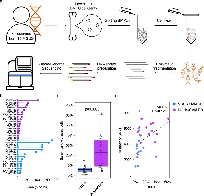 Whole Genome Analysis: Process and Application